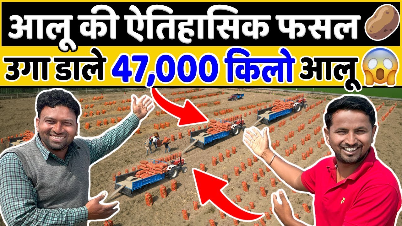ये खेती नहीं शेयर मार्केट है, पानी की तरह मिलेगा पैसा💰🤑💯Profitable ...