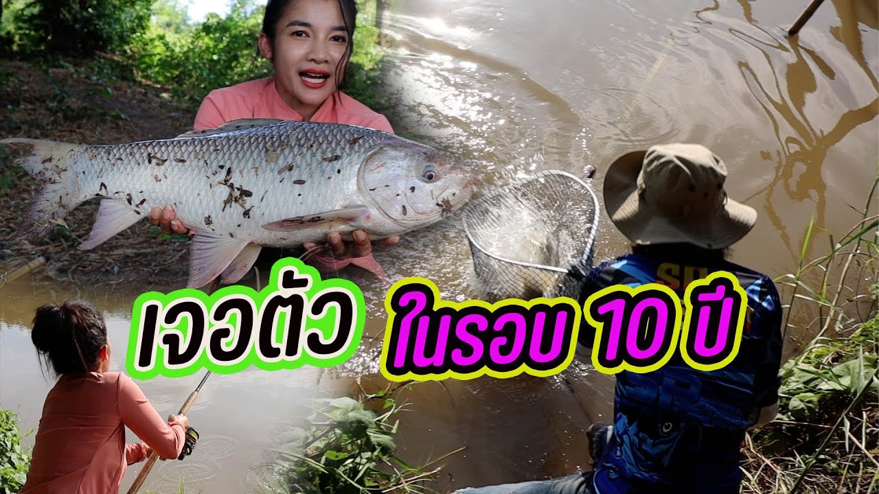 เจอตัวในรอบ 10 ปี วินาทีสุดท้ายก่อนกลับบ้าน #เมย์มี่ #mayme #แมน้ำท่า ...
