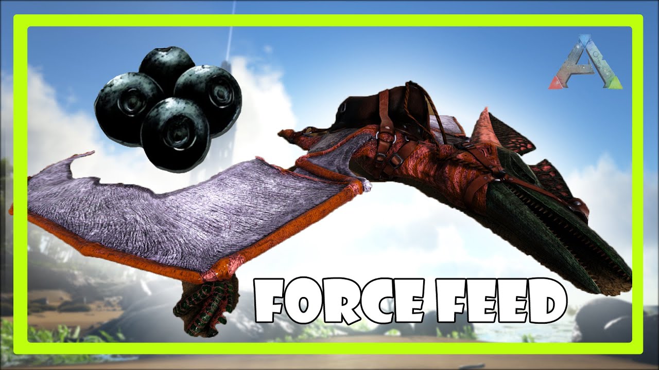 Ark Force Feed - YouTube
