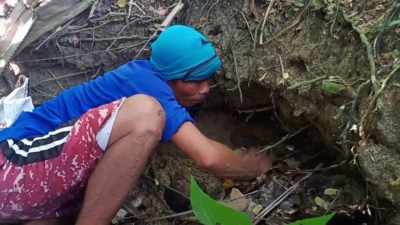 Land Crab (Kagang) kumuha at niluto | Pt.9 - YouTube