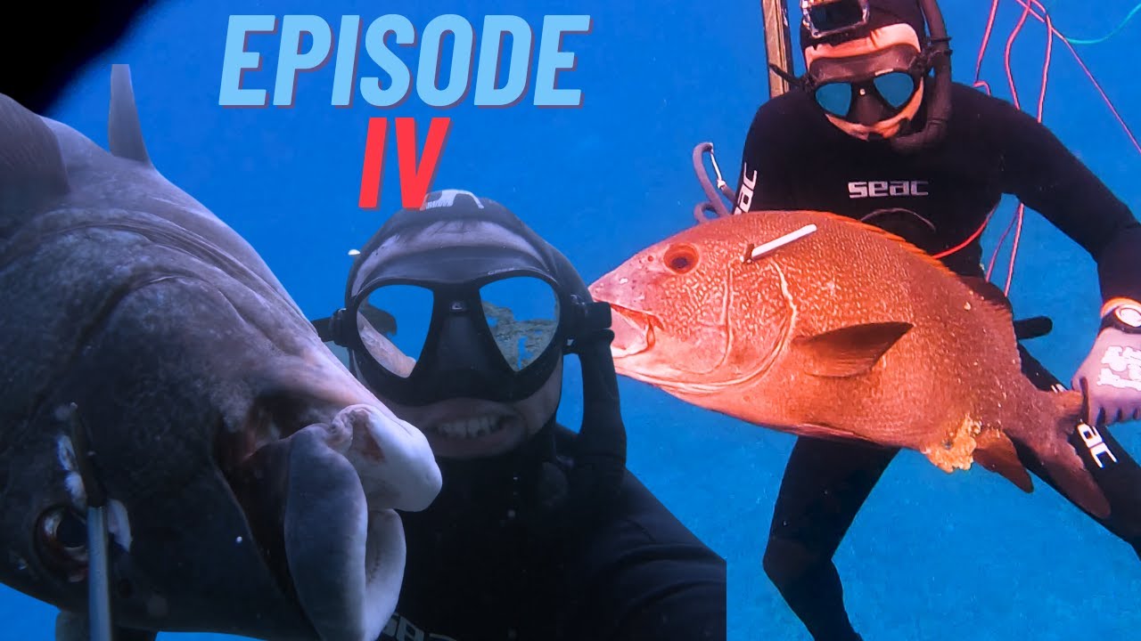 2 GIANT SWEETLIPS, GIANT TREVALLY in 1 DAY!! AMAZING SPOT! Spearfishing ...