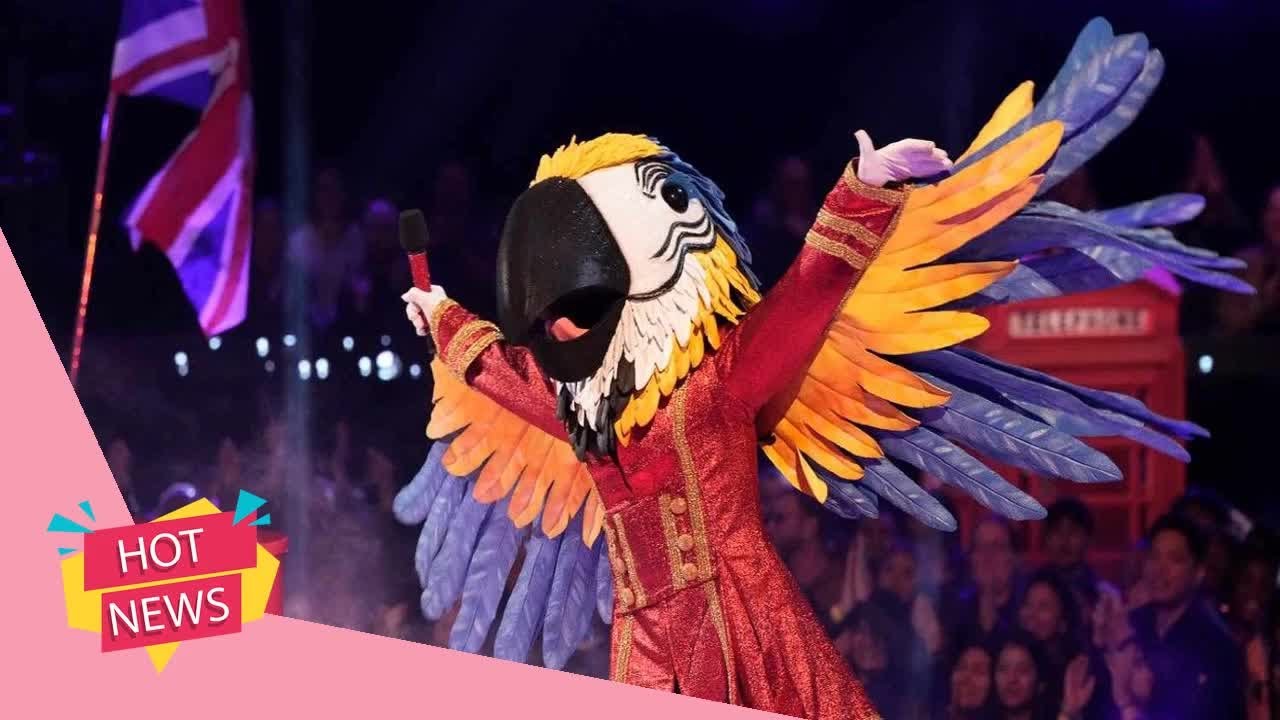 The Masked Singer: Macaw’s 8 Performances Ranked From Worst To Best ...