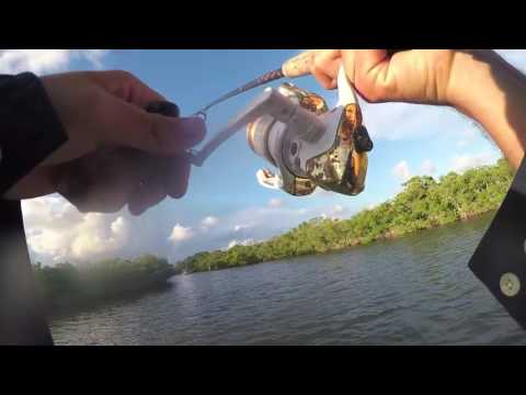 Backyard Fishing - YouTube