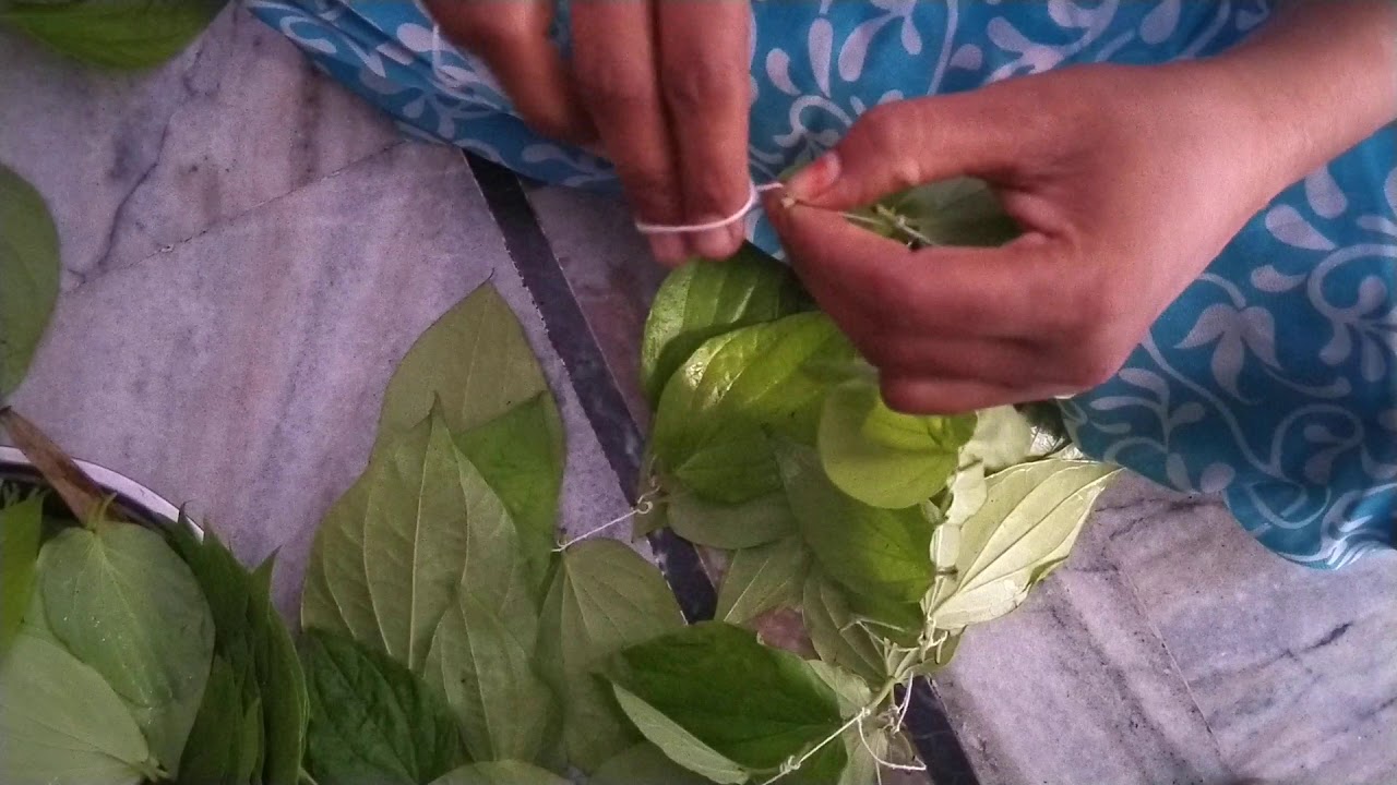 Diy Betel leaves garland - YouTube
