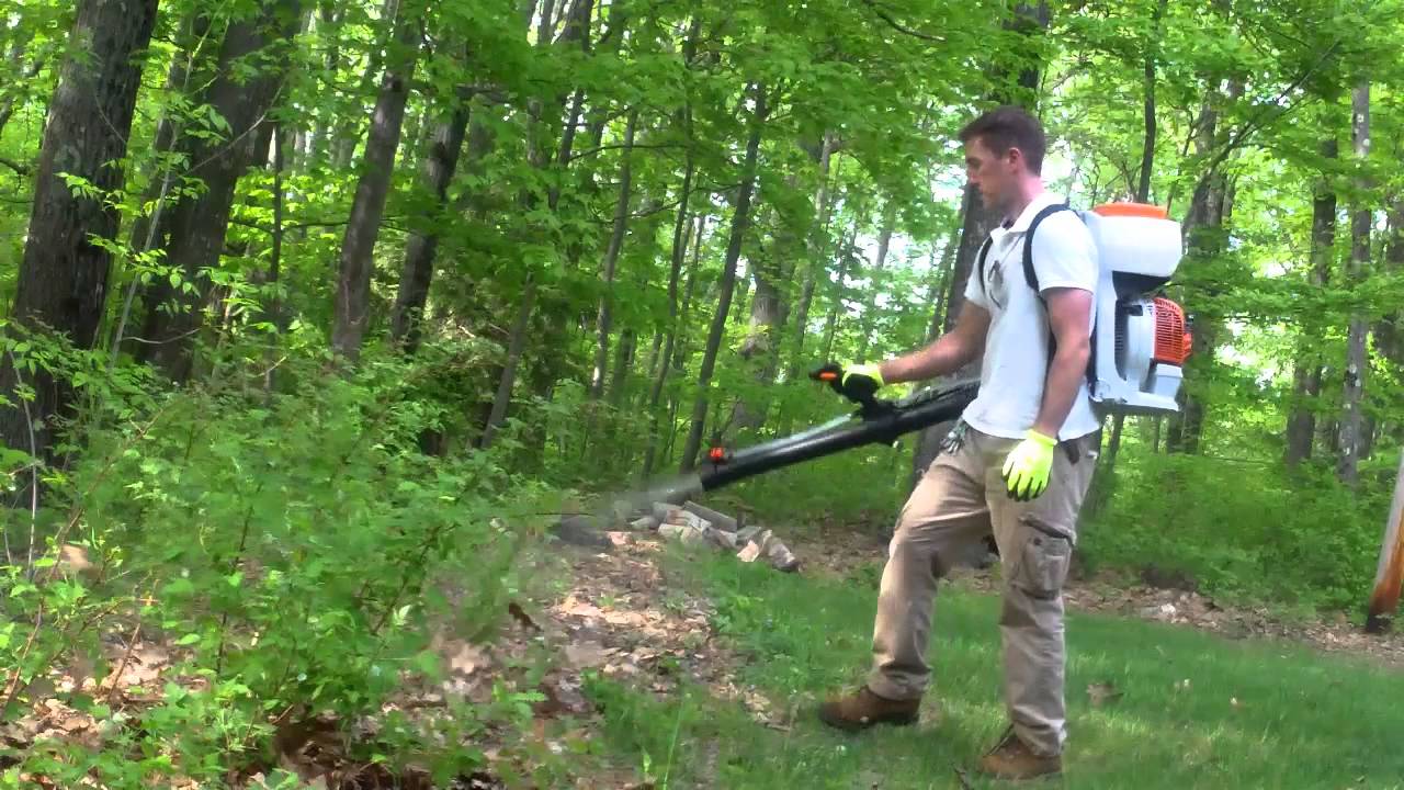 Mosquito & Tick Treatment | Bug Bully Pest Control in Princeton, MA ...