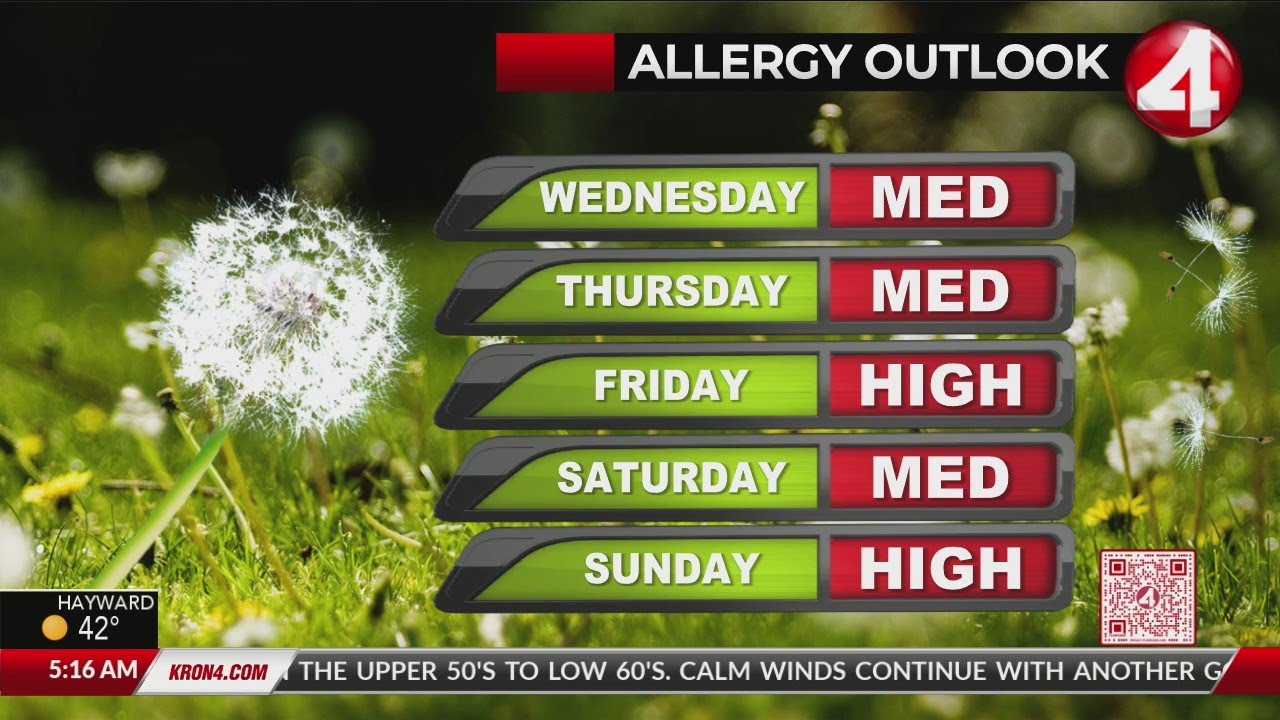 Allergy season in full effect following recent storms - YouTube