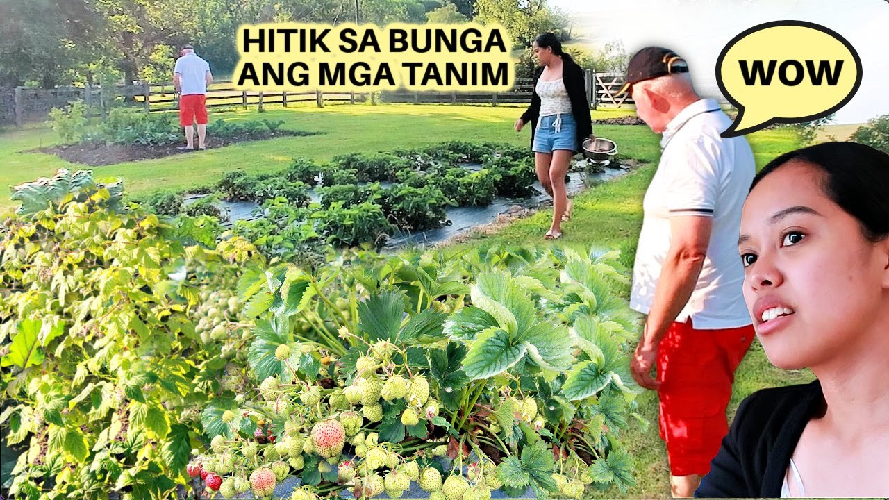 FILIPINA BRITISH LIFE IN UK:MASAGANANG BUNGA AT PAMBULAKLAK NG TANIM ...