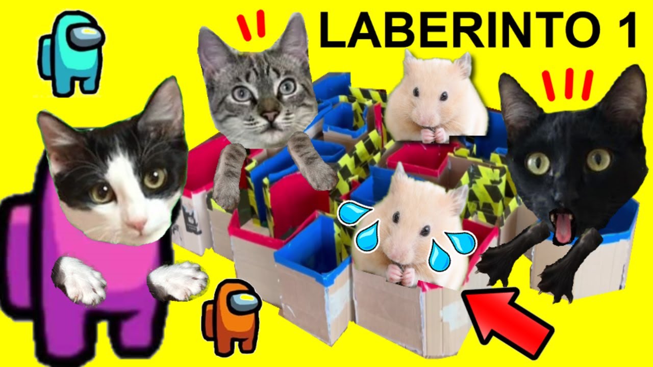 Laberinto de Among us para gatos Luna y Estrella y el hamster 1 La ...