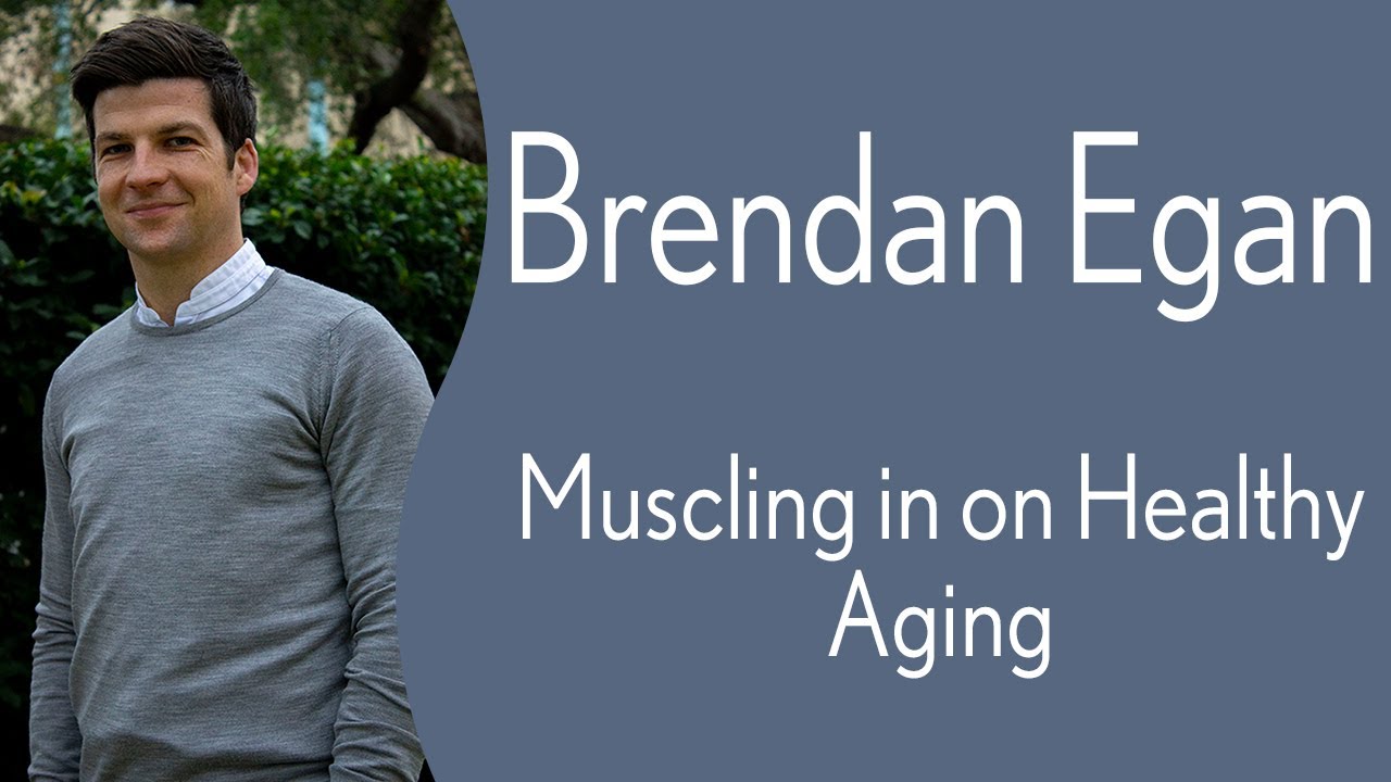 Brendan Egan - Muscling in on Aging2 - YouTube