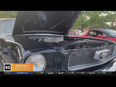 Sonny Acres Farm hosting weekly \