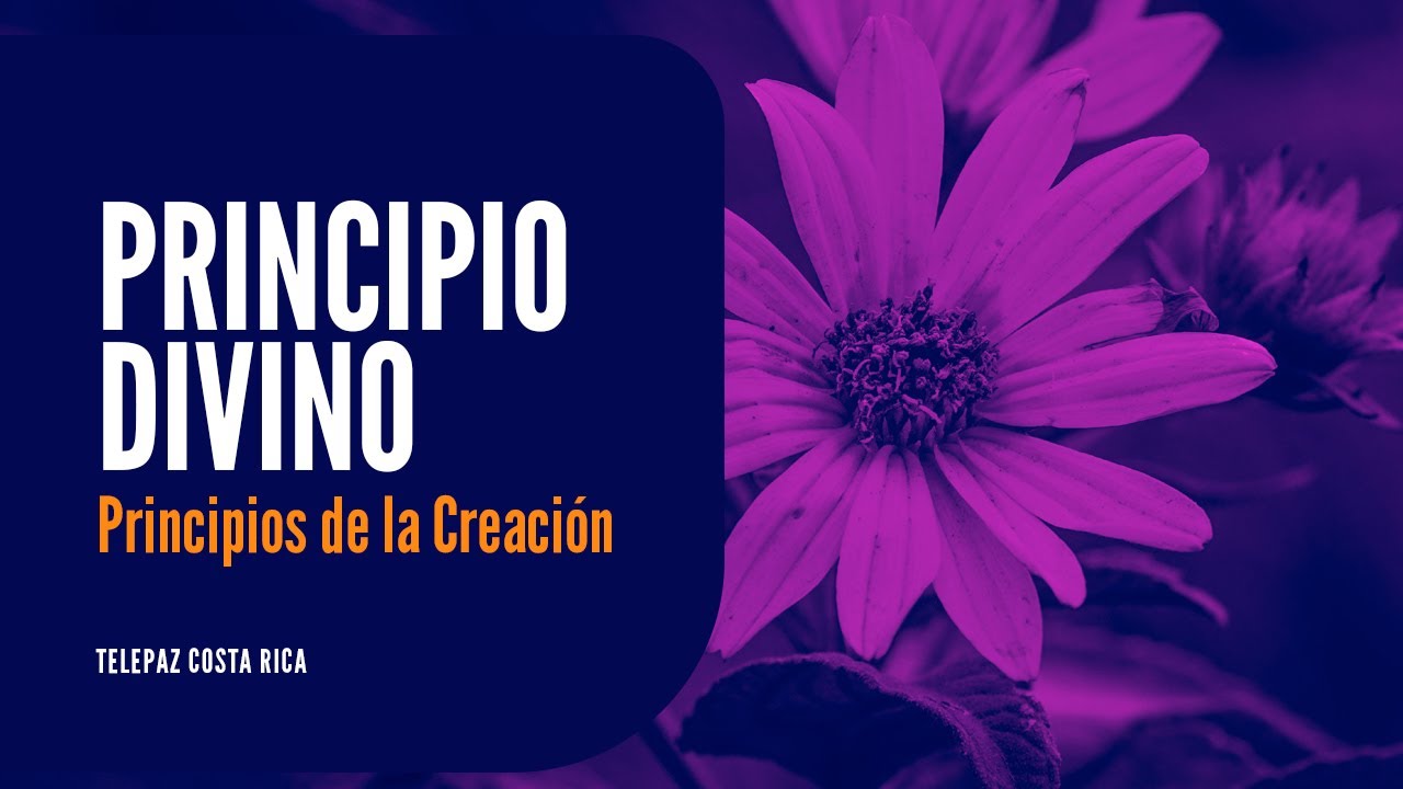 Principio Divino, Principios de la Creación - YouTube