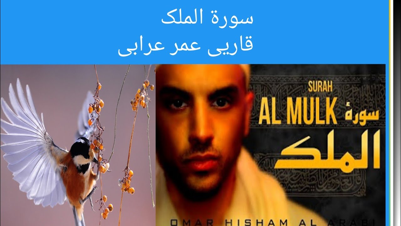 Quran majeed tilawat ll Sarah Al mulkh ll qari Omar Al arabi - YouTube