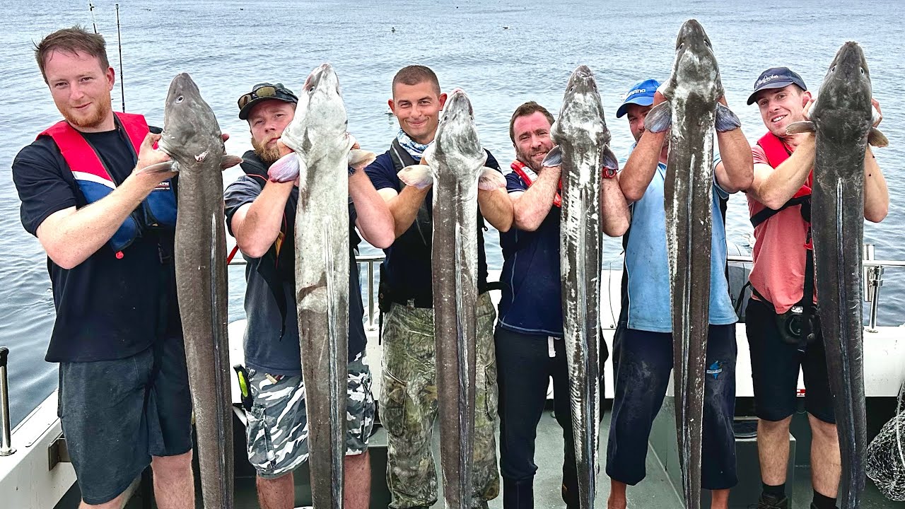 Commercial Fishing - A Day in the life of a Rod and Line Conger Eel ...