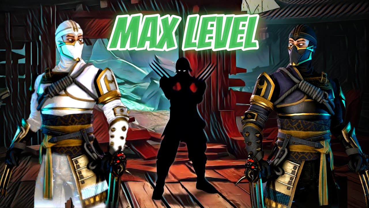 Maxed My First EPIC Hero - Lynx // Shadow Fight 4 Arena - YouTube
