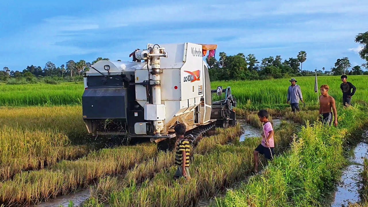 WONDERFUL Combine Harvestor Operating Techniques Harvet Rice Safety ...
