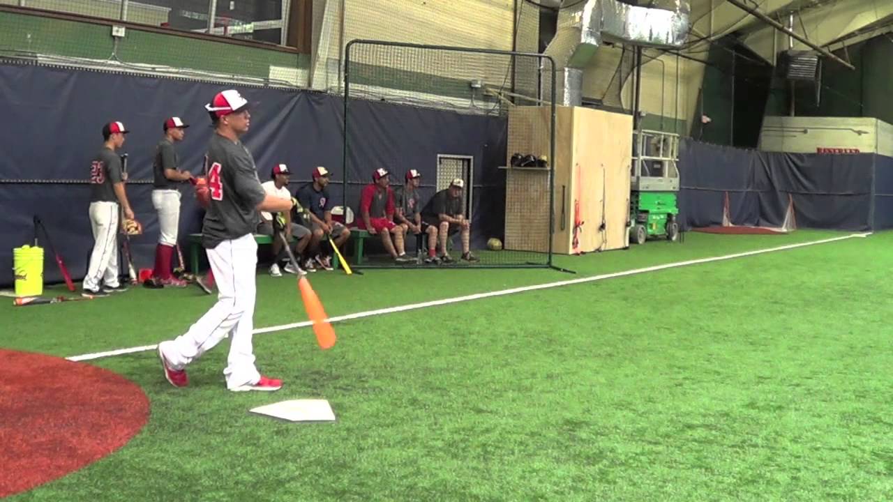 Logan Altizer - Hitting - Richmond Braves 2015 - www.PlayInSchool.com ...
