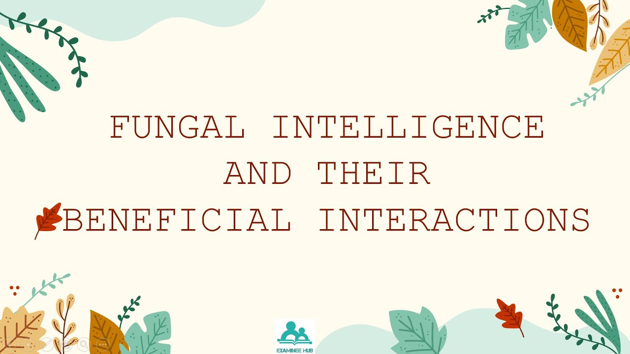 FUNGAL INTELLIGENCE | BENEFICIAL INTERACTIONS OF FUNGI | MYCOLOGY ...