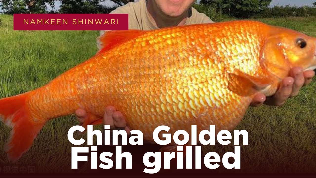 China golden fish grill recipe/ Gold fish fy /china fish grill / yellow ...