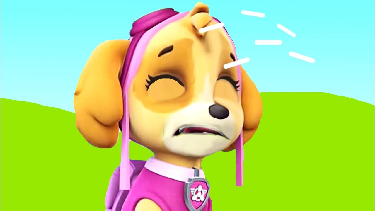 Paw Patrol Skye Crying Youtube