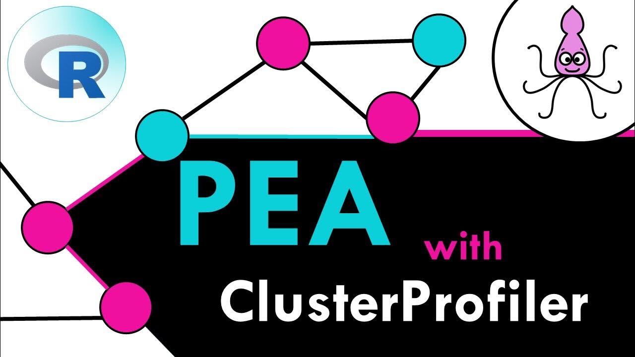 Pathway Enrichment Analysis Tutorial In R With Clusterprofiler Youtube