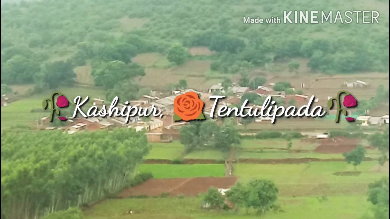 Kashipur,,Song,, Rayagada Odisha,,, Sushanta,,, 🥀 - YouTube