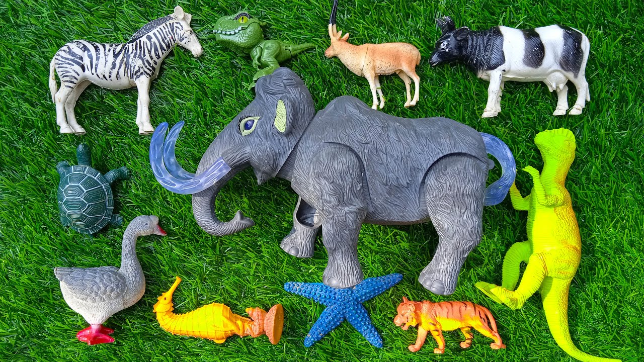Gajah Mammoth Zebra Trex Rusa Sapi Dinosaurus Bintang Laut Kuda Laut ...