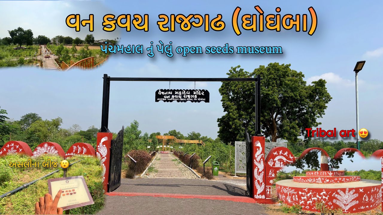 વન કવચ રાજગઢ (ઘોઘંબા) | પંચમહાલનું પેલું open seeds museum | new van ...