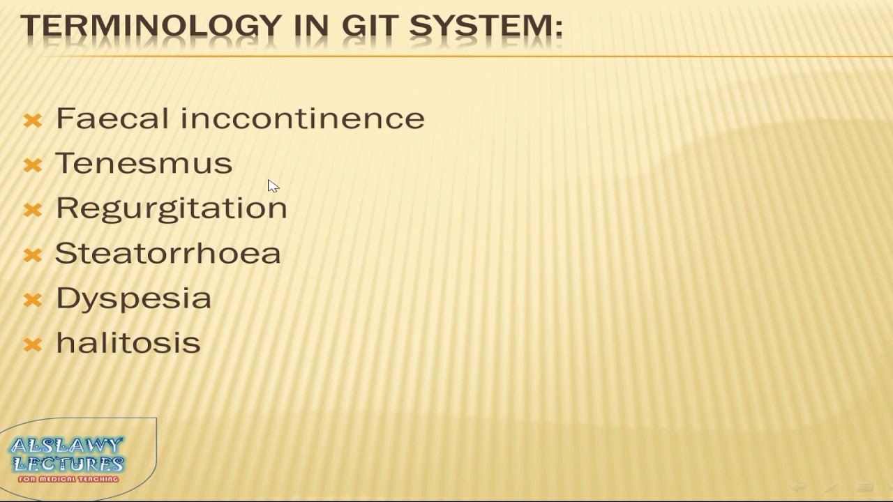 GIT TERMINOLOGY - YouTube