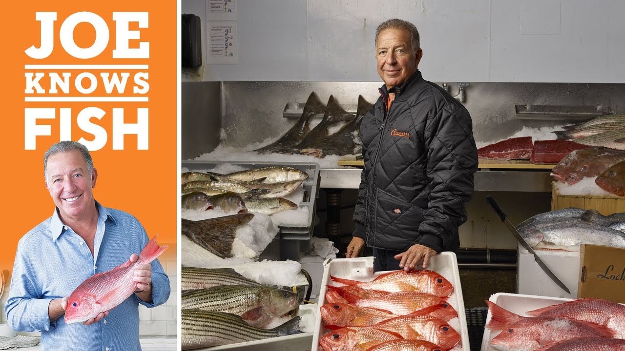 JOE KNOWS FISH Book Trailer - YouTube