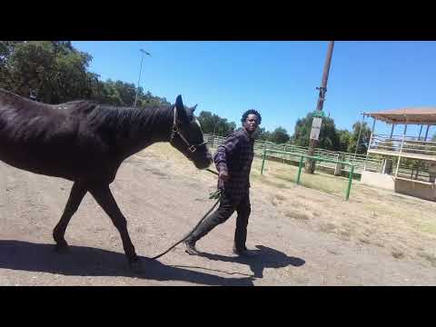 Found the Perfect Spot for My Riding Lessons! 🐎📍 | Big Move for the ...