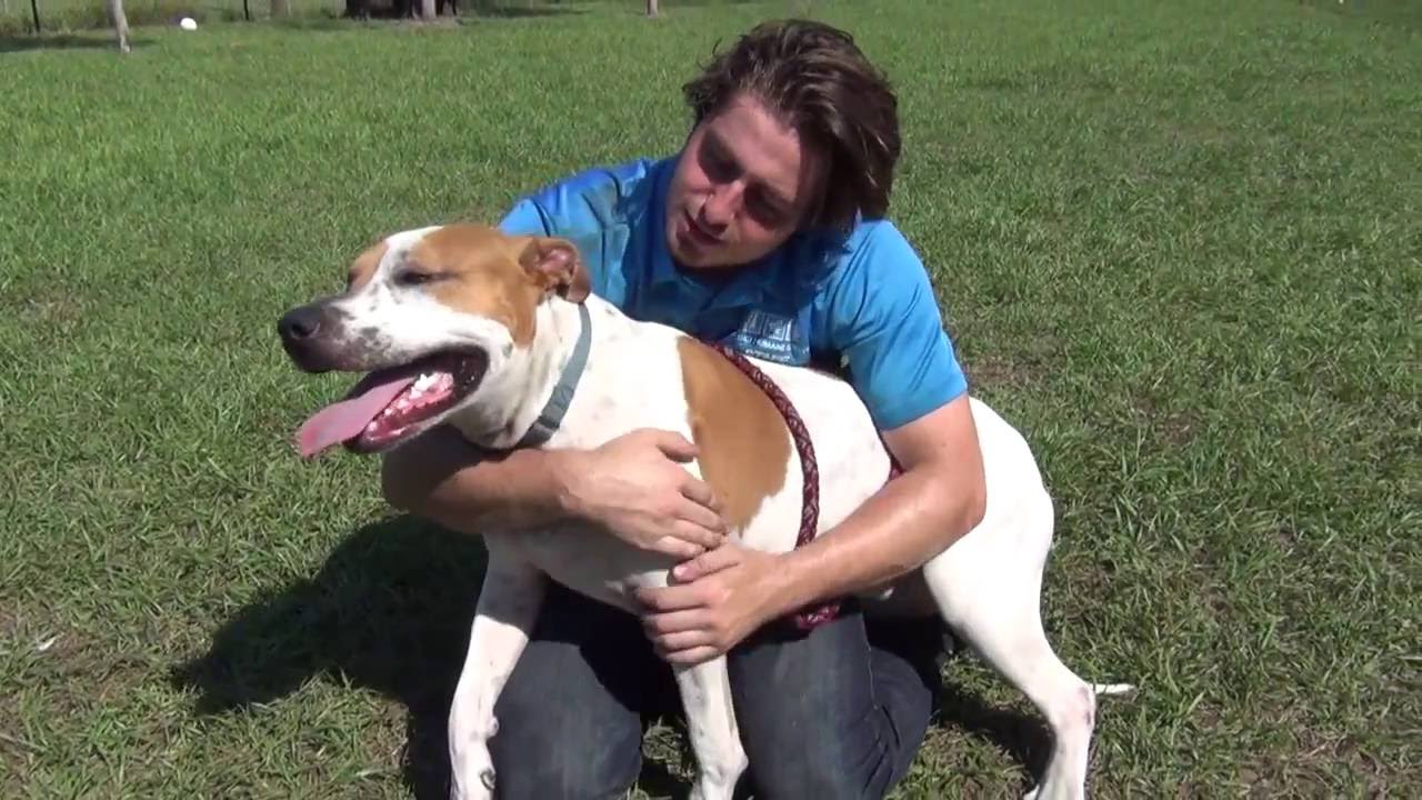 Meet lovable Rebel - YouTube