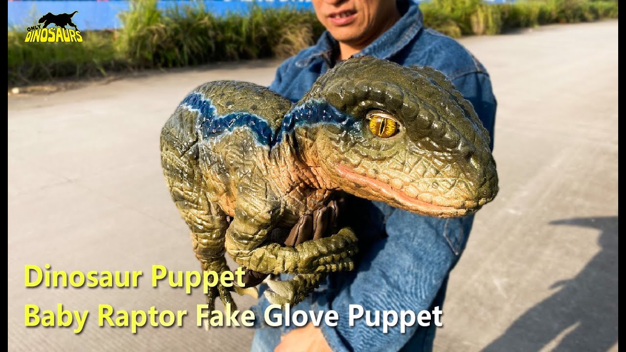 Dinosaur Puppet: Baby Raptor Fake Glove Puppet | Puppets - YouTube