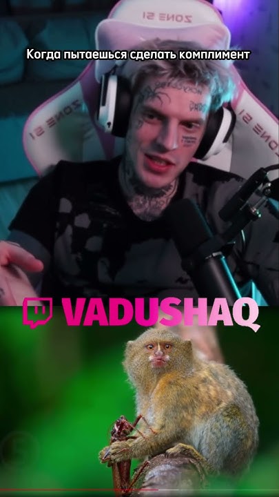 #twitch #vadushaq #stream #vadushaqstream #рек #твич #вадюшаку #стрим # ...