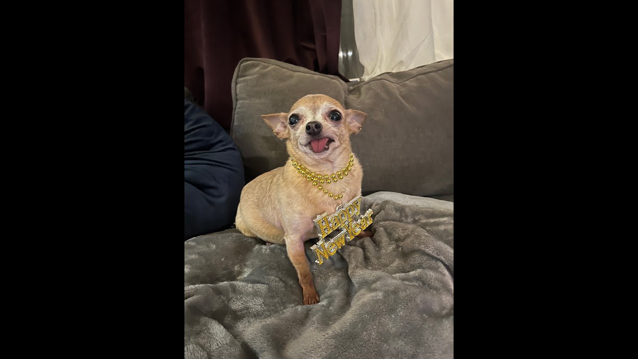 IONIZED VWC (FIRST ION STONE COMP I THINK) - YouTube