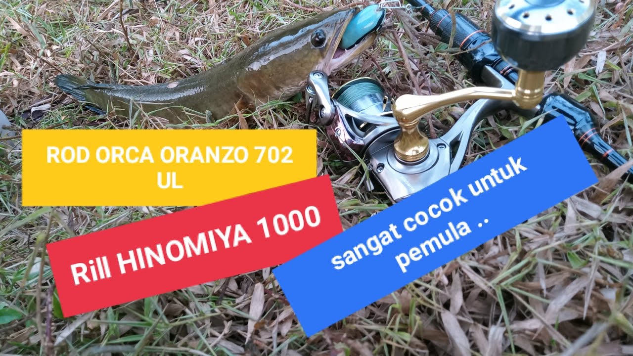 Rekomendasi Untuk castinger Pemula || Rod ORCA ORANZO & Ril HINOMIYA ...