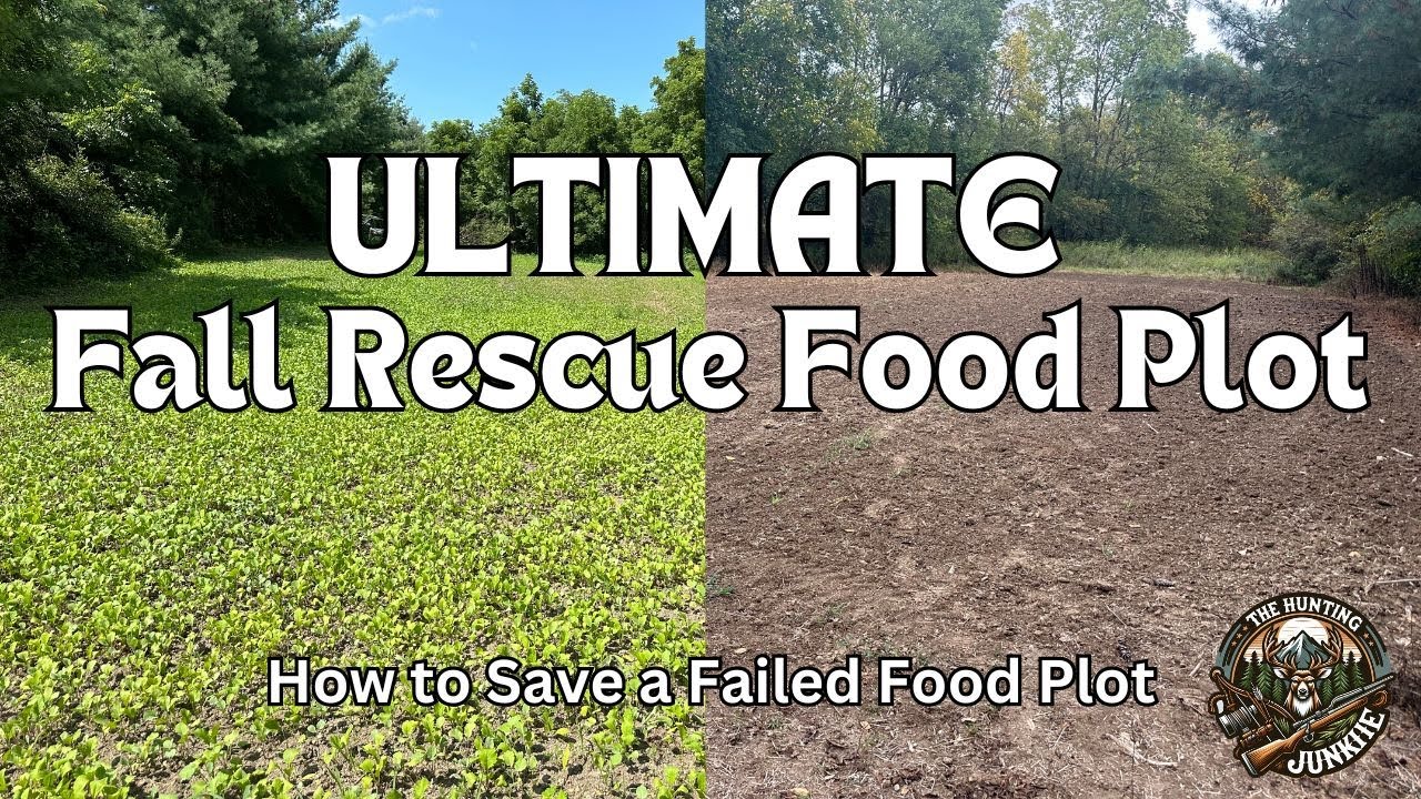 Ultimate Fall Resue Food Plot - YouTube