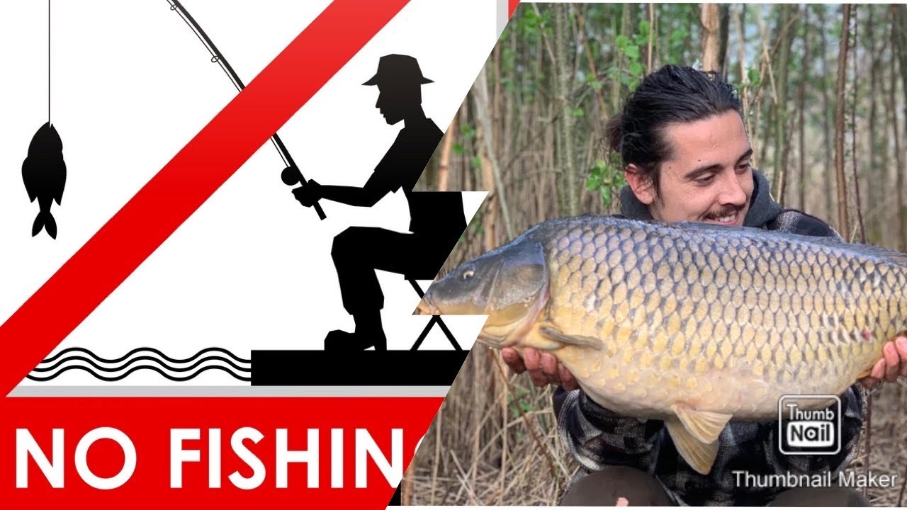NO PERMIT NEEDED CARP FISHING, OFF THE RADAR IN THE REEDS - YouTube