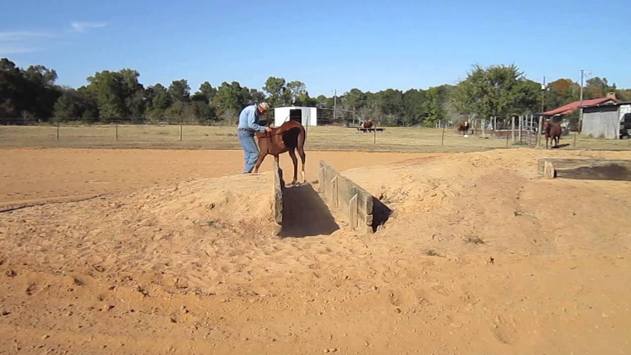 Flit Bar Bully 011 - YouTube