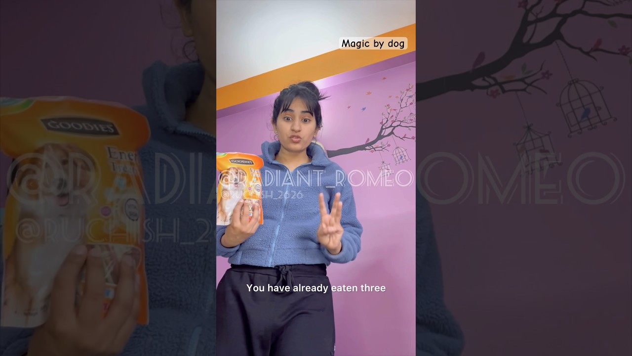 Magic trick by dog - YouTube