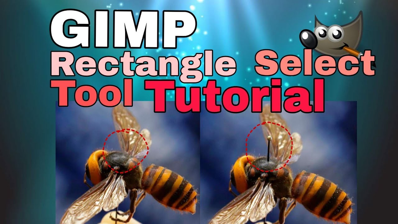 GIMP Tutorial: Rectangle Select Tool - YouTube