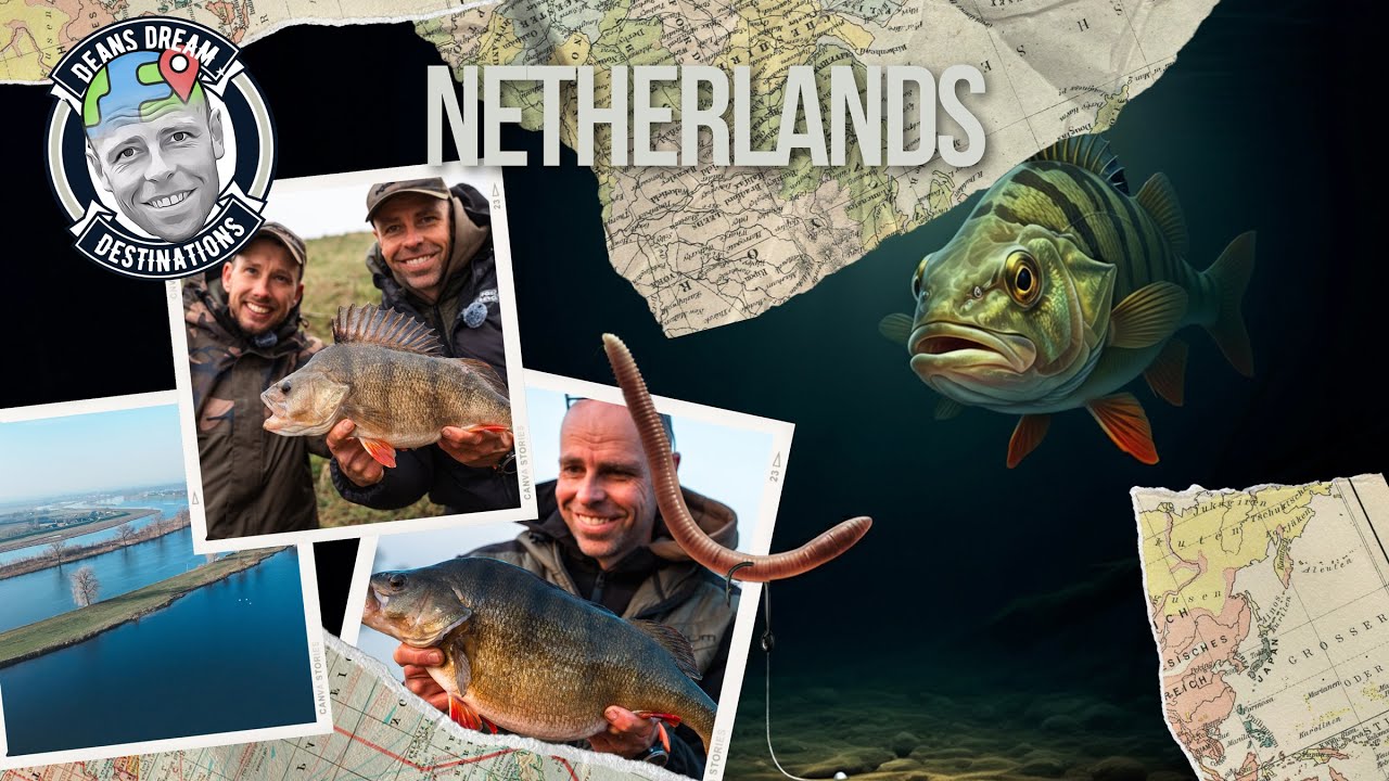 Monster Perch Tactics | Netherlands | Dean macey - YouTube