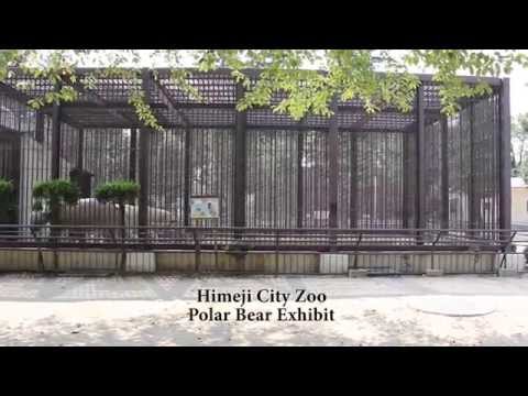 Zoos in Japan: Himeji City Zoo