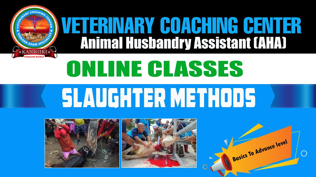 VETERINARY Slaughter Methods veterinay Coaching Center kanigir - YouTube