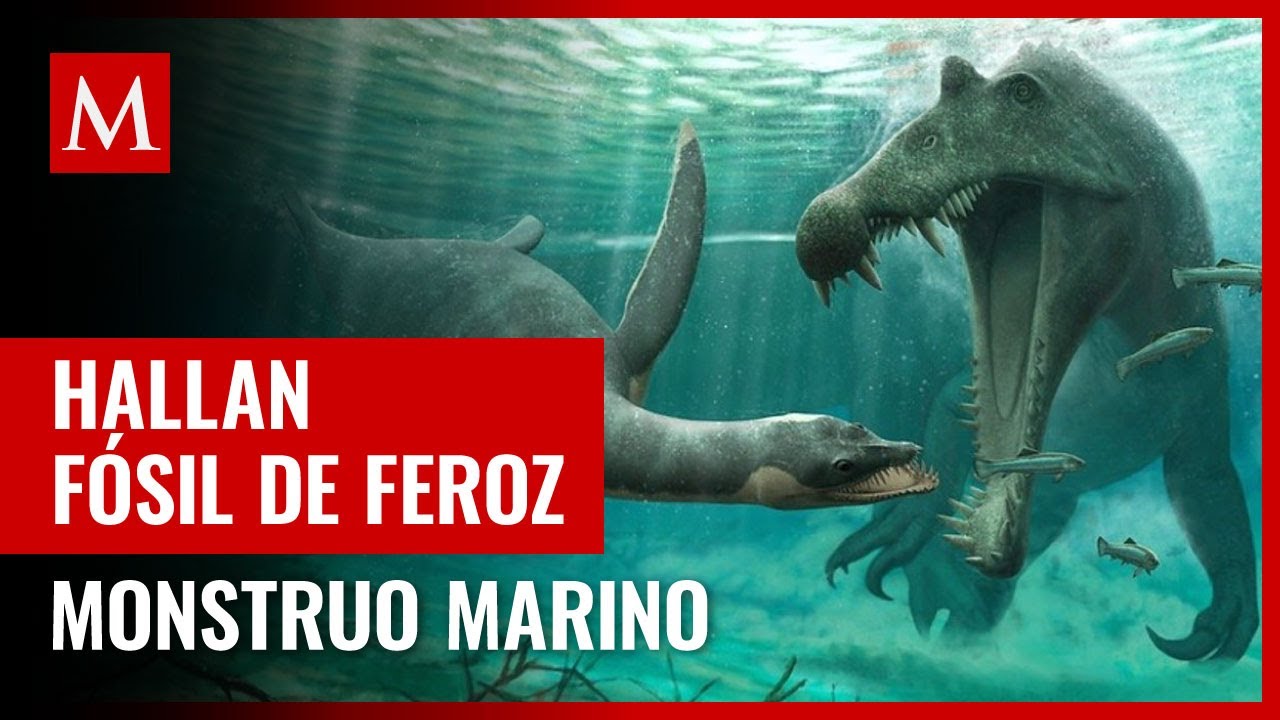 Descubrimiento asombroso: El Plesiosaurio, el monstruo marino que ...