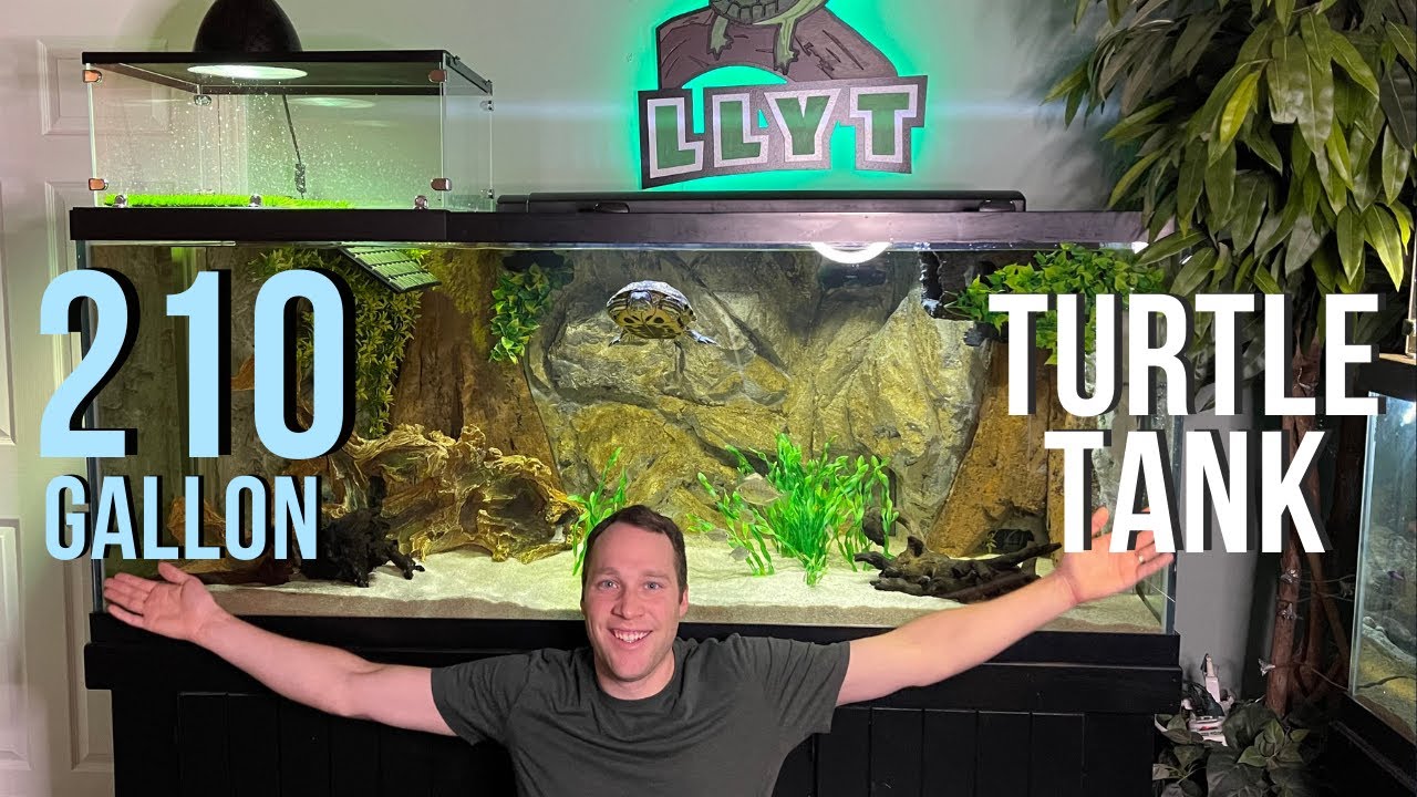 210 Gallon Turtle Tank - THIS TANK IS HUGE! - YouTube