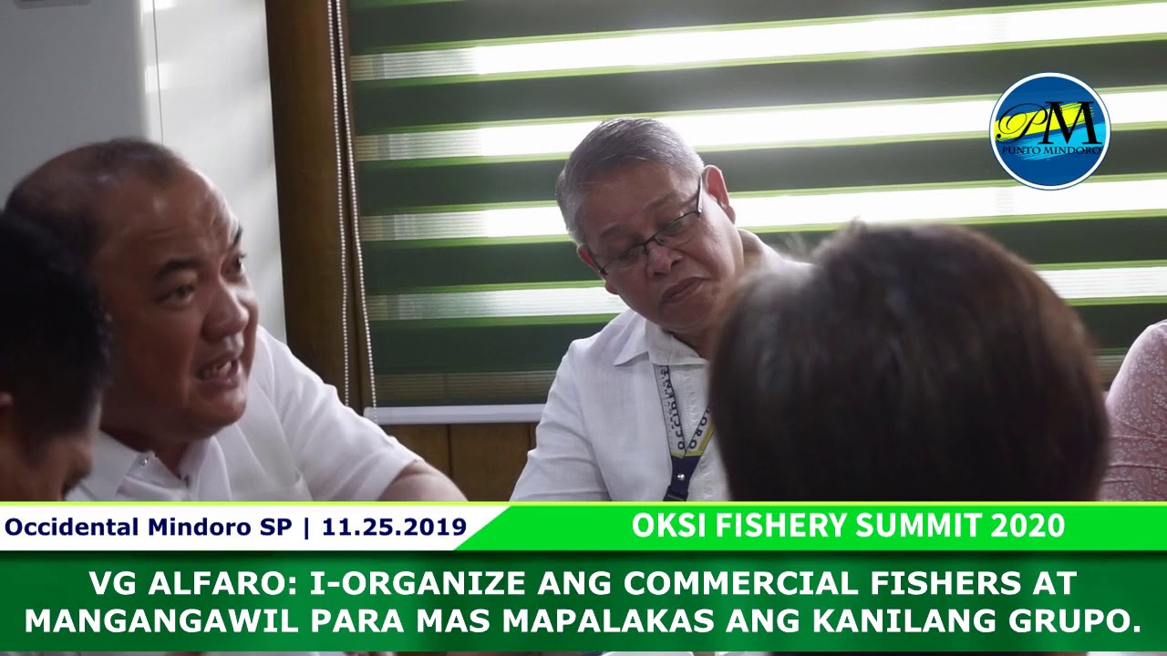 PUNTO MINDORO | VICE GOV PETER ALFARO SUGGESTS FISHERMEN BE ORGANIZED ...