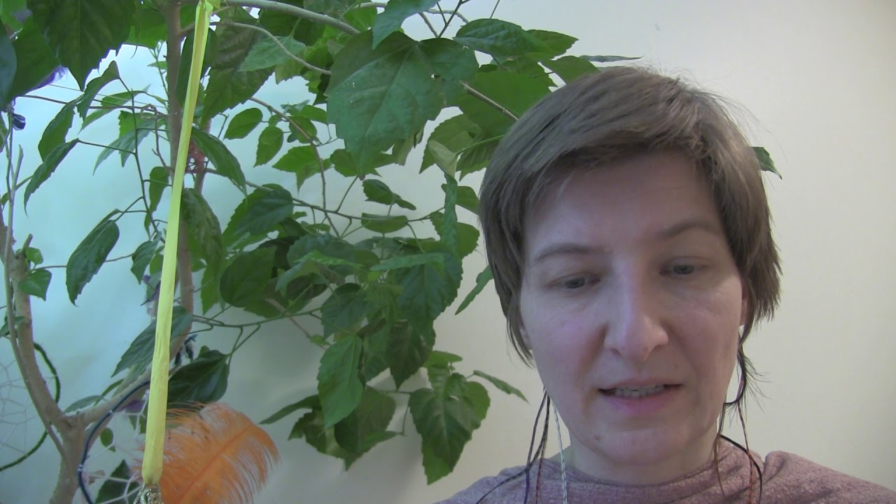 Raamat: Sipsik, Lugu: Sipsik võitleb herilastega - YouTube