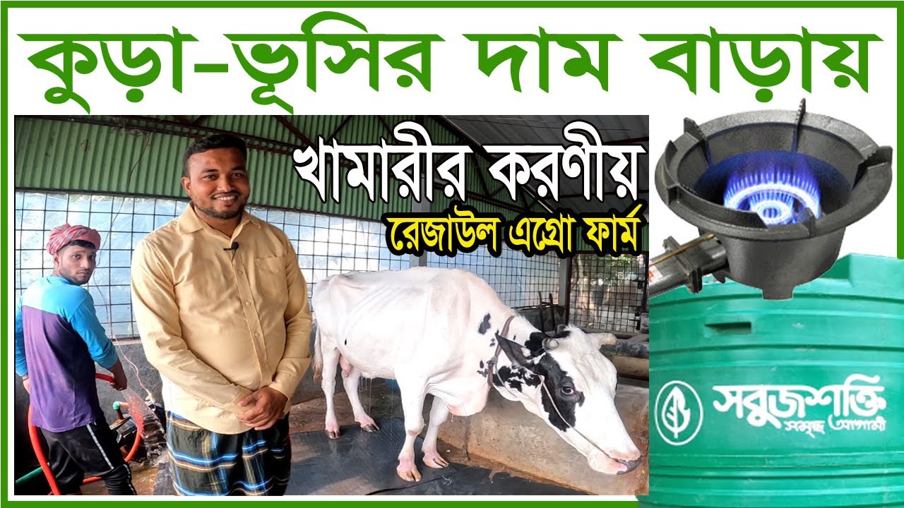 Amazing Smart Cow Farming in Bangladesh | Krishi o Krishok | - YouTube