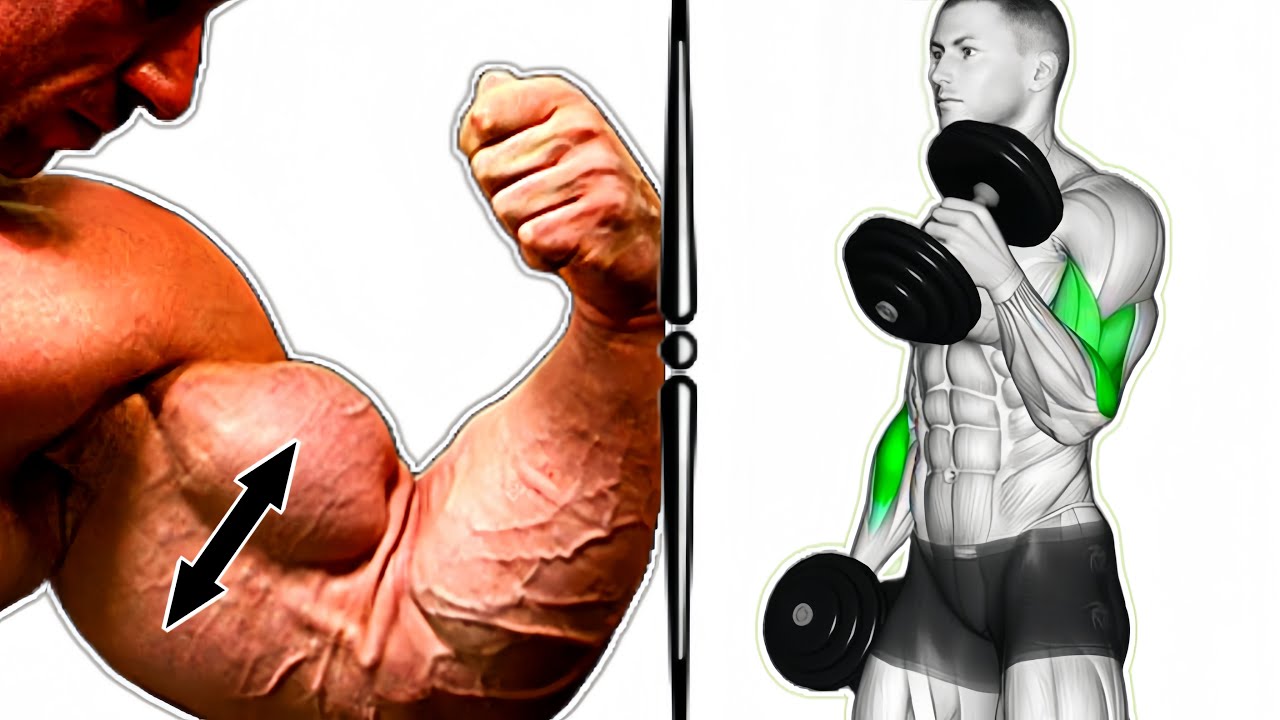 FULL ARMS WORKOUT || Biceps AndTriceps Workout - YouTube