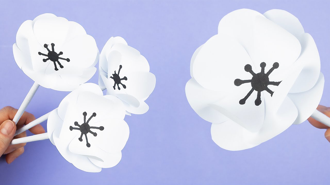DIY White Paper Flowers: Simple Crafts for Stunning Decor 🌸 - YouTube